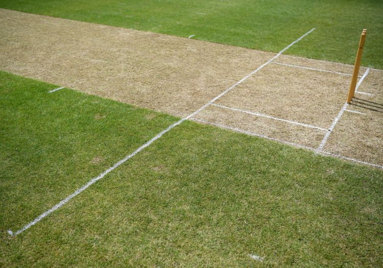Make your ground green to tackle climate change | The Cricketer