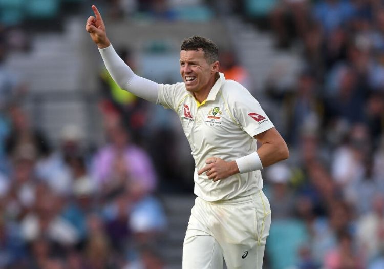 Australia tout Peter Siddle as a replacement for Josh Hazlewood for ...